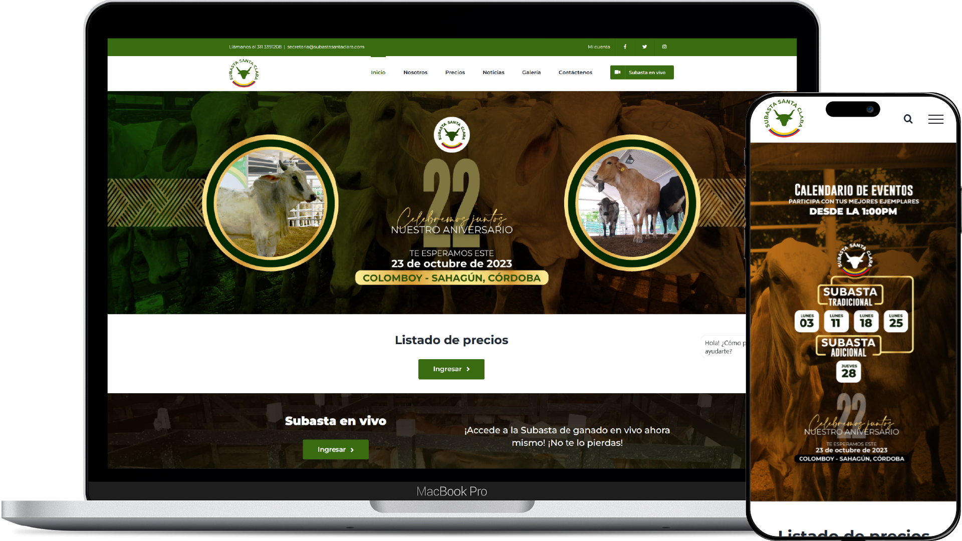 Using Endel for three months: Here are my impressions - Julian digital